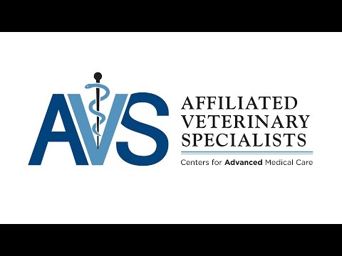 Meet Bethany R. Sabatino, DVM, DACVIM