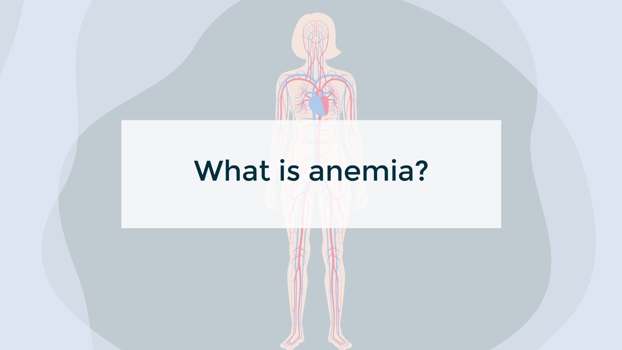 Why should you care about anaemia? - Sci Ani