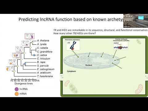 Andrew Nelson: Using large-scale comparative -omic analyses to uncover functional elements ...