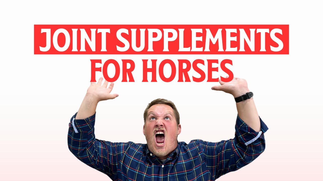 Joint Supplements For Horses