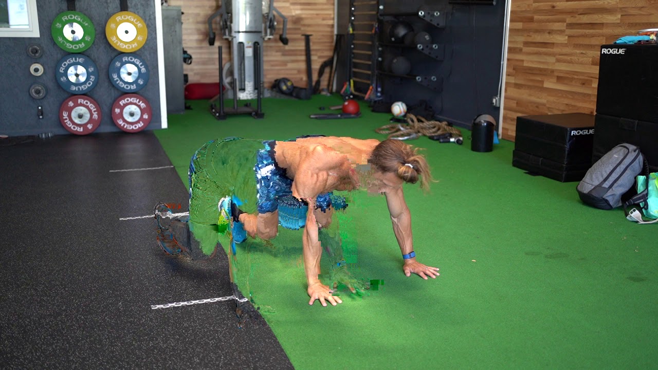Quadruped Lateral Crawl