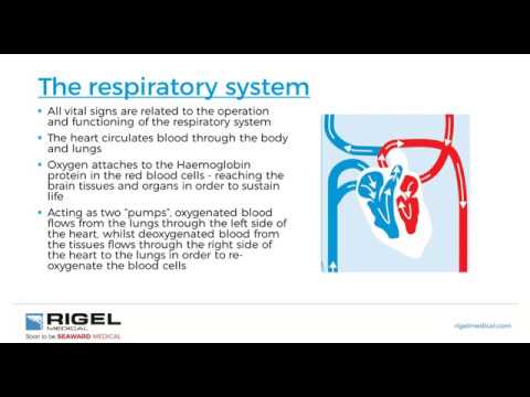Webinar: An Introduction to Vital Signs