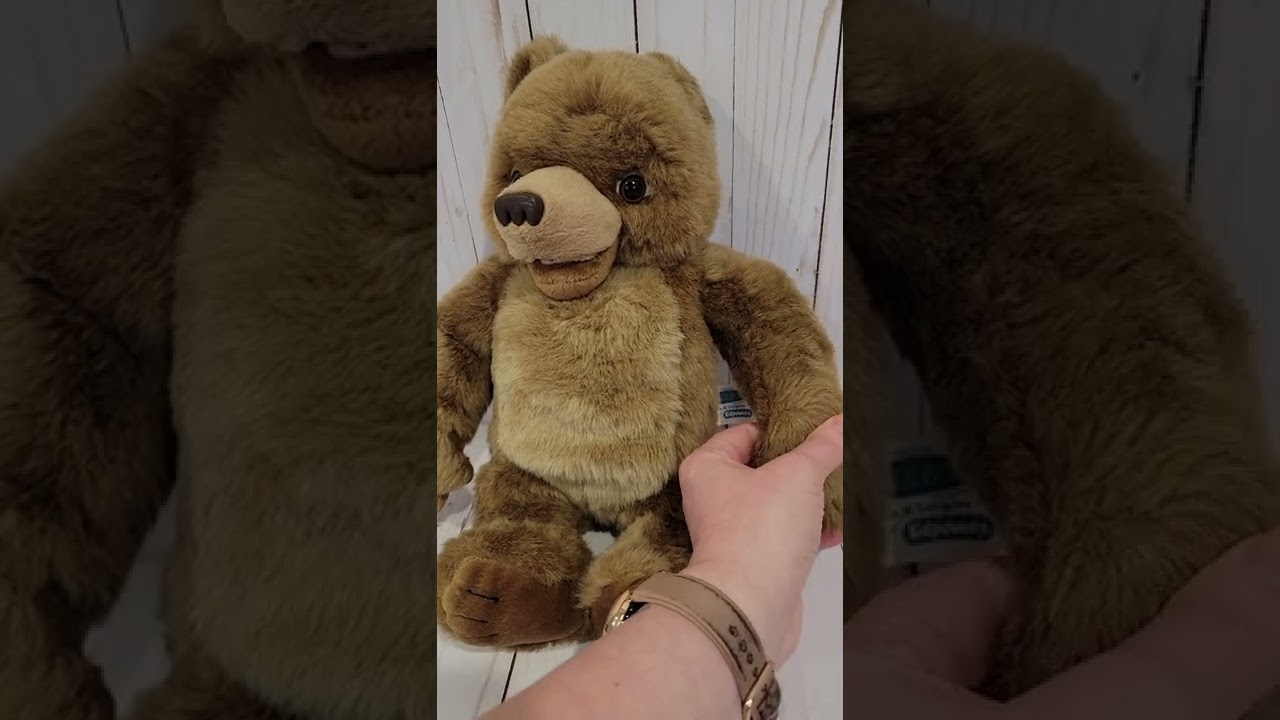 Little Bear Talk and laugh