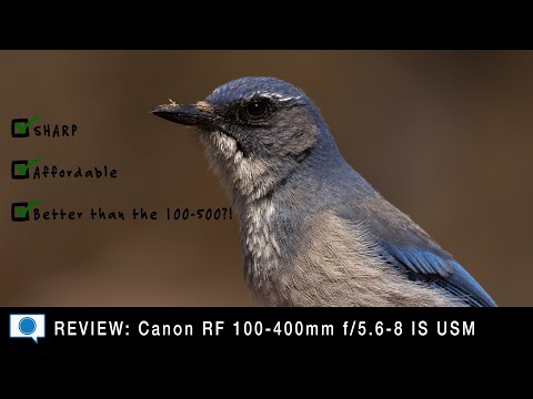 Canon RF 100-400mm: An impressive value (5050C002)