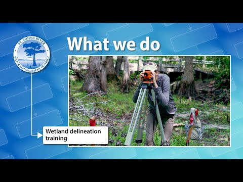 What We Do: Wetland Delineation Training
