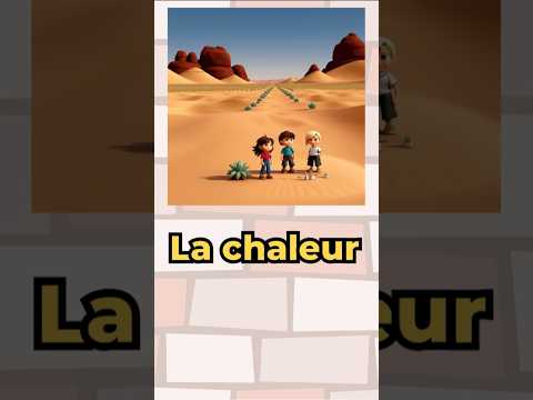 French Word of the day: La chaleur #learnfrench