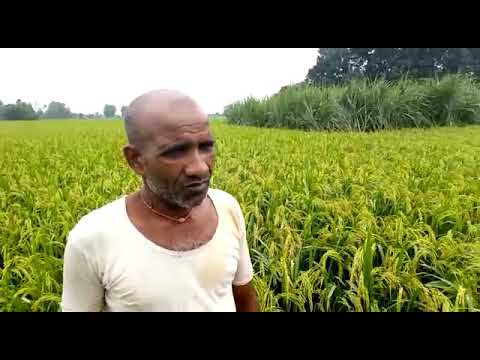 Aries agro ltd product callbor and feromag used farmer