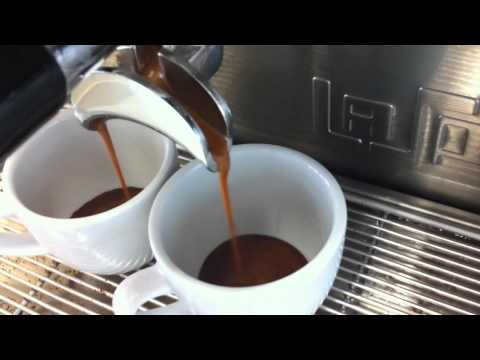 This is what fresh coffee looks like | Absolute Coffee's Blog
