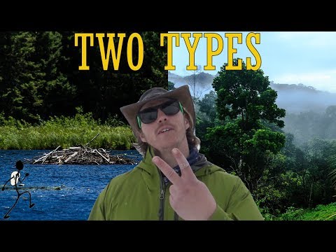 Types of Ecosystem Engineers: Wild Facts Contests Ep. 24