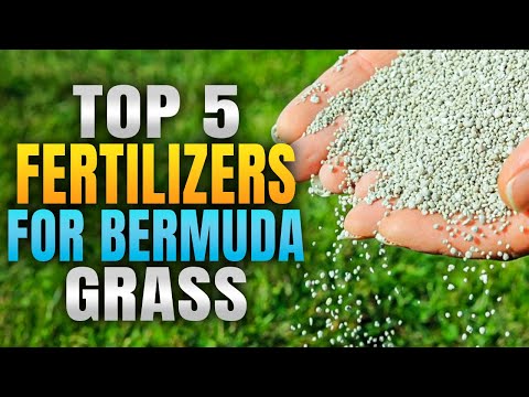 Top 5 Fertilizers For Bermuda Grass In Under 60 Seconds