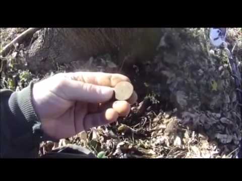 Dave McMahon, Ed Cropski and Ron Guinazzo..Video Metal Detecting ...