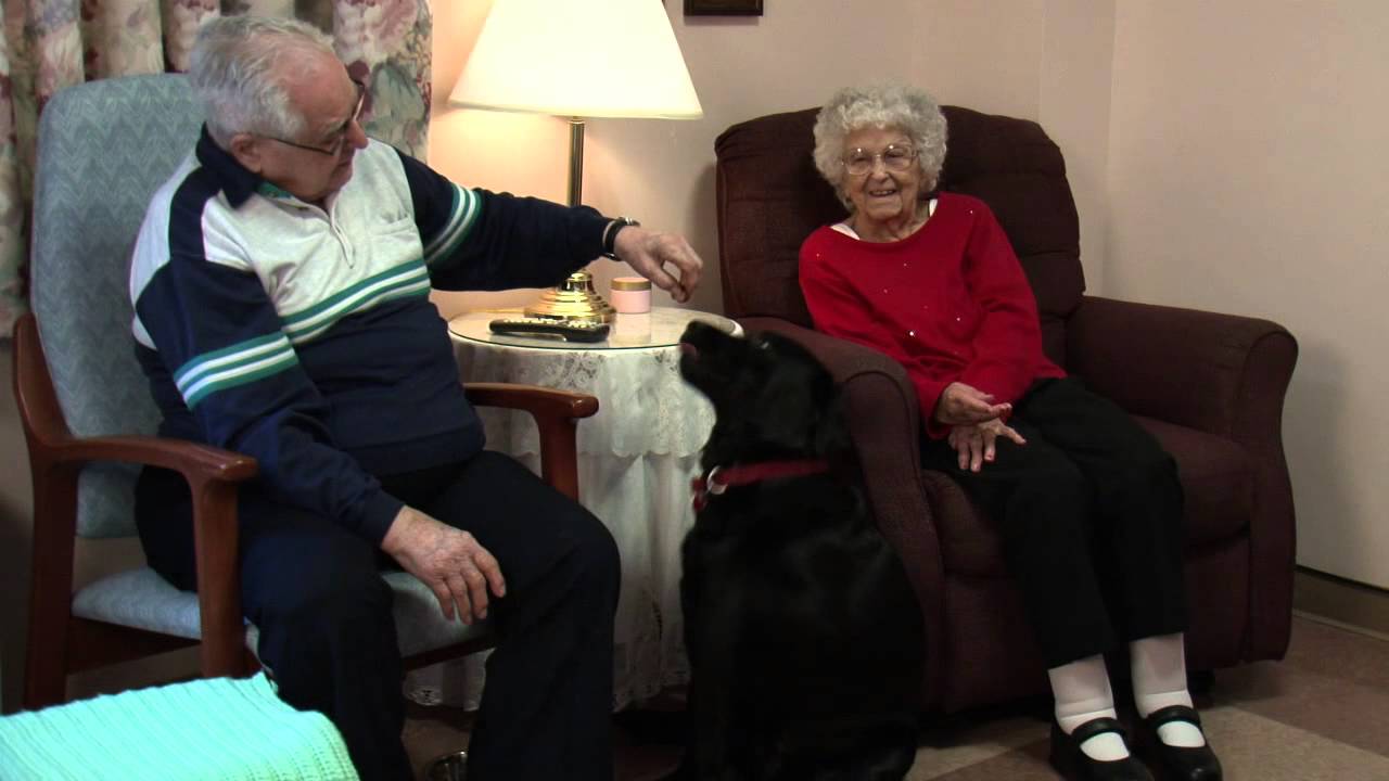 St. John's Home Pets 30-second Spot