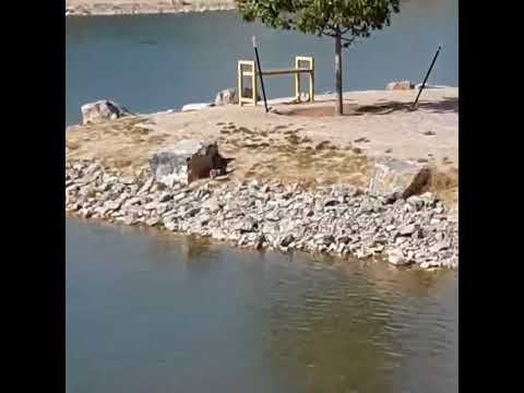 A new lake for Deming @nomadikq