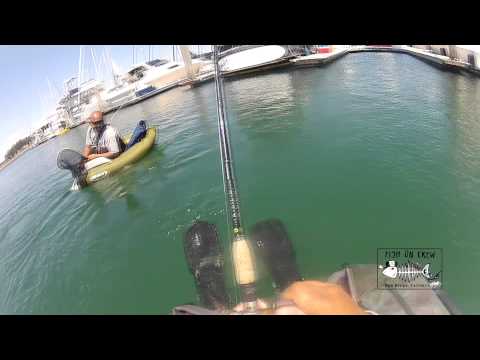 San Diego Fishing 2013: Fish On Crew tubing at Spanish Landing on 08-08-2013.