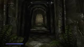 Skyrim Luck 100 Build at Skyrim Special Edition Nexus - Mods and Community