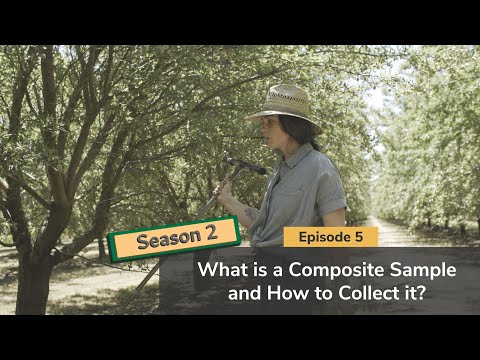 What is a Composite Sample and How to Collect it?