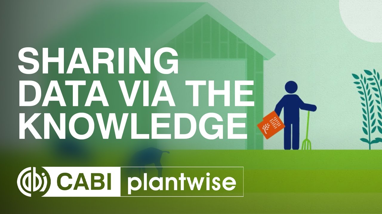 Plantwise - Sharing data via the Knowledge Bank