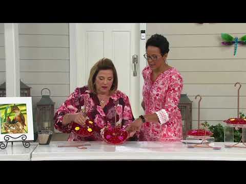 Ultimate Innovations Hummingbird Feeder & Window Hook on QVC