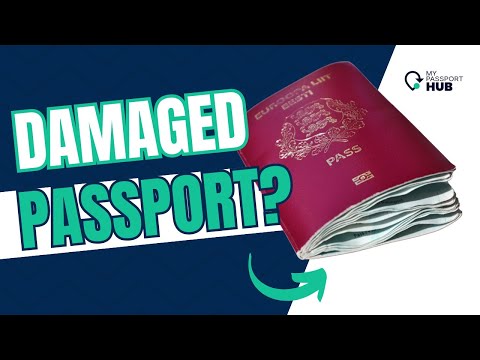 Damaged Passport When You NEED a New One (Avoid Travel Headaches!) | MyPassportHub.com