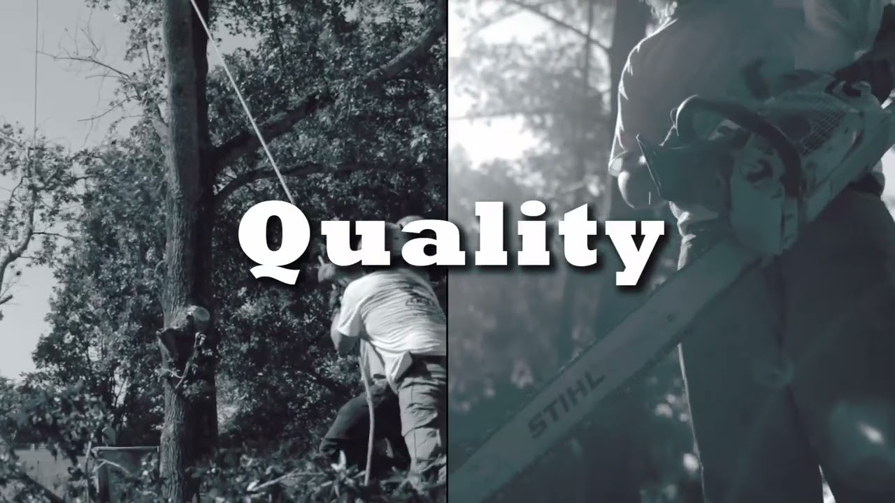 Ogle Tree Service - Commercial Ad