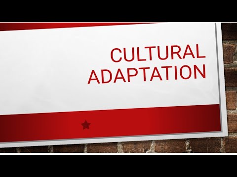 Cultural Adaptation (socio science approach) in Hindi/Urdu