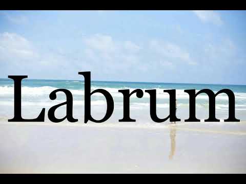 How To Pronounce Labrum🌈🌈🌈🌈🌈🌈Pronunciation Of Labrum