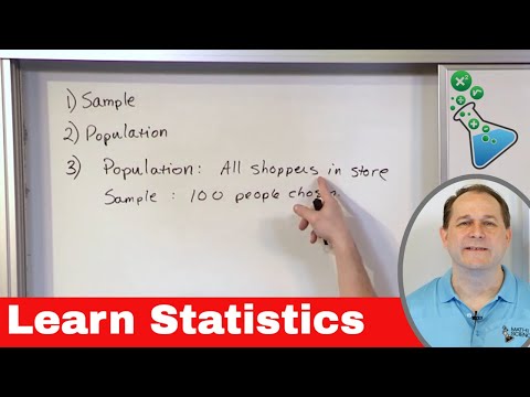 Learn Statistics: Samples, Population, Parameters & Mean