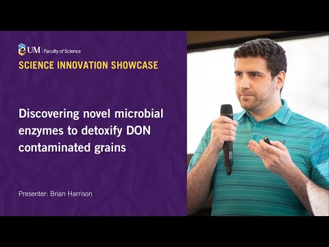 Discovering novel microbial enzymes to detoxify DON contaminated grains