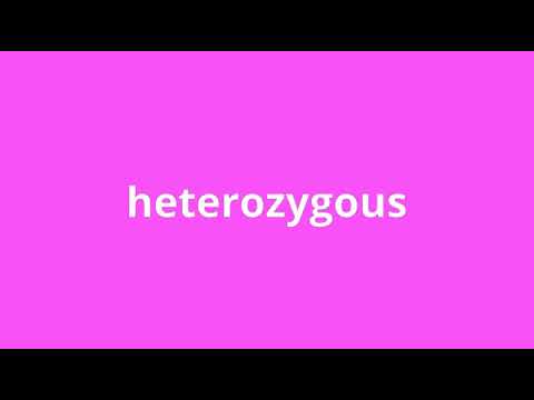 what is the meaning of heterozygous