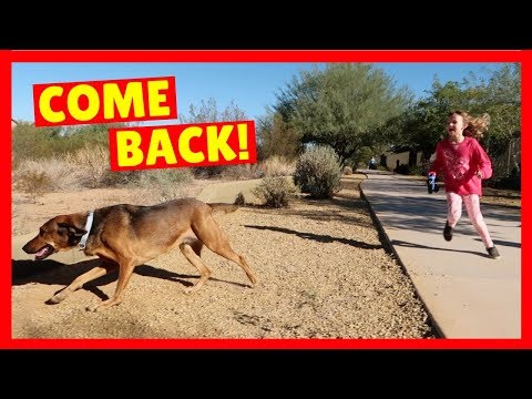 Sandy Ran Away 😟 LOST DOG + RV Camping