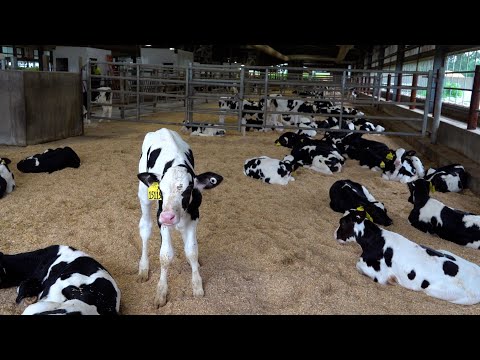 CVTC | Animal Science Management