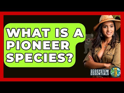 What Is A Pioneer Species? - Ecosystem Essentials