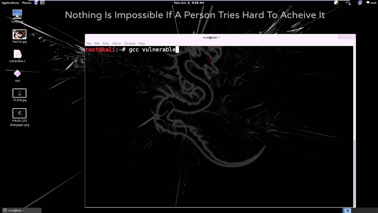 Exploiting System using Buffer Overflow (Hacker Vision - 08)