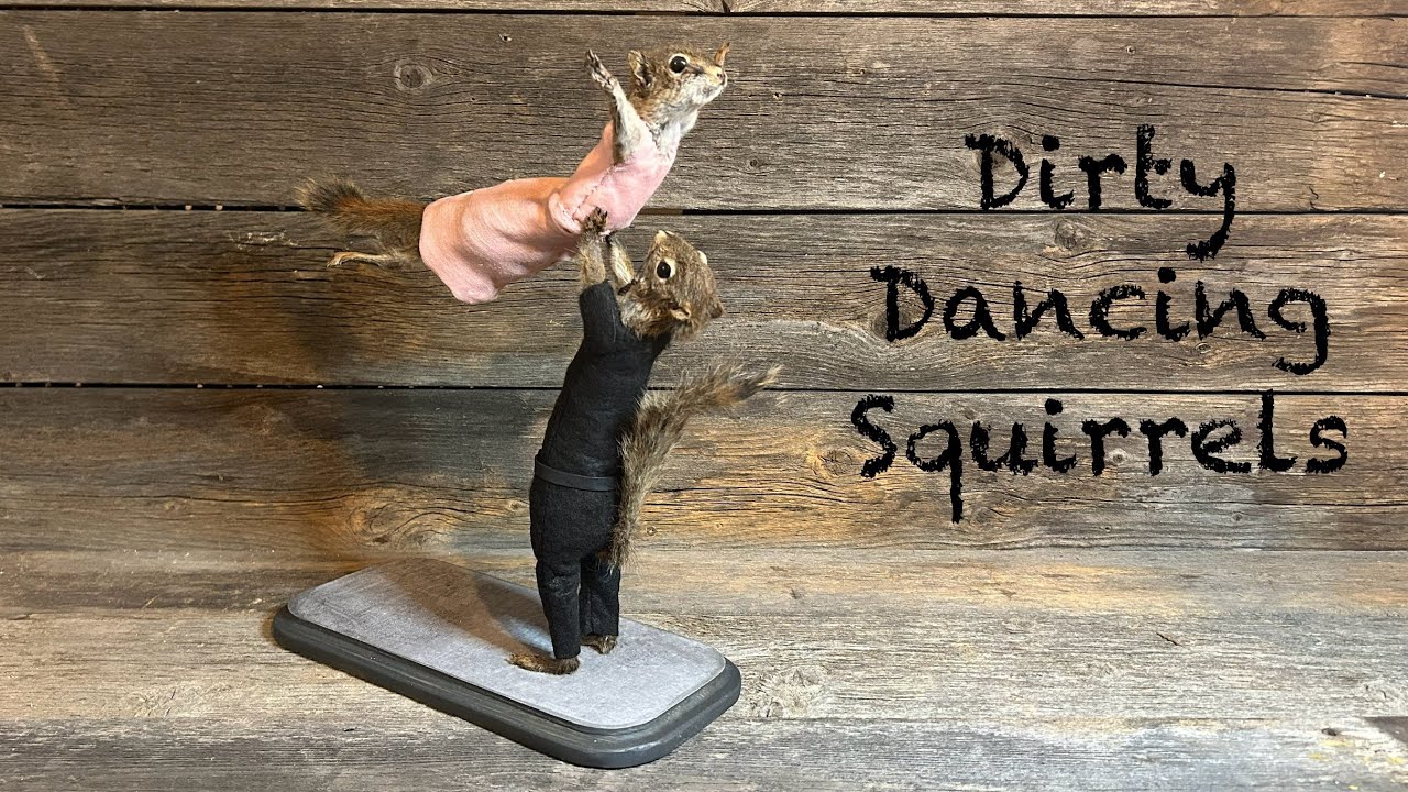Dirty Dancing Squirrel Taxidermy 