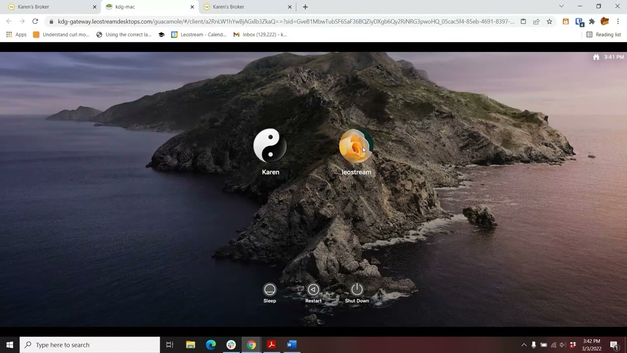 Leostream for Application Streaming