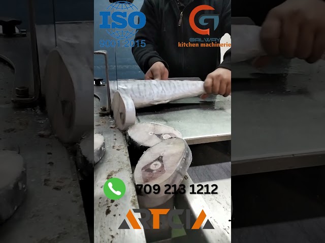 Fish Cutting Machine - ARTICIA Fish Slicing Machine Manufacturer from ...