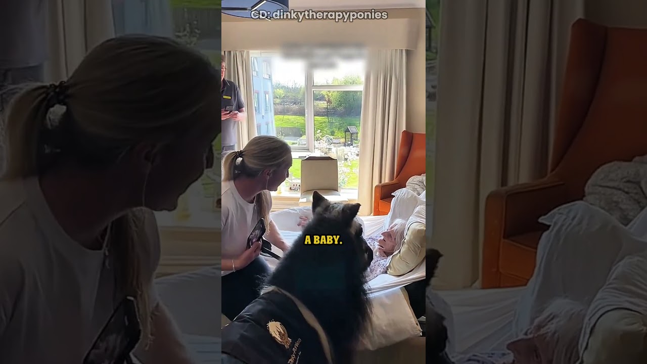 She Had One Final Wish Before Saying Goodbye