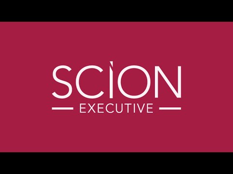 Meet Scion Nonprofit Executive Search