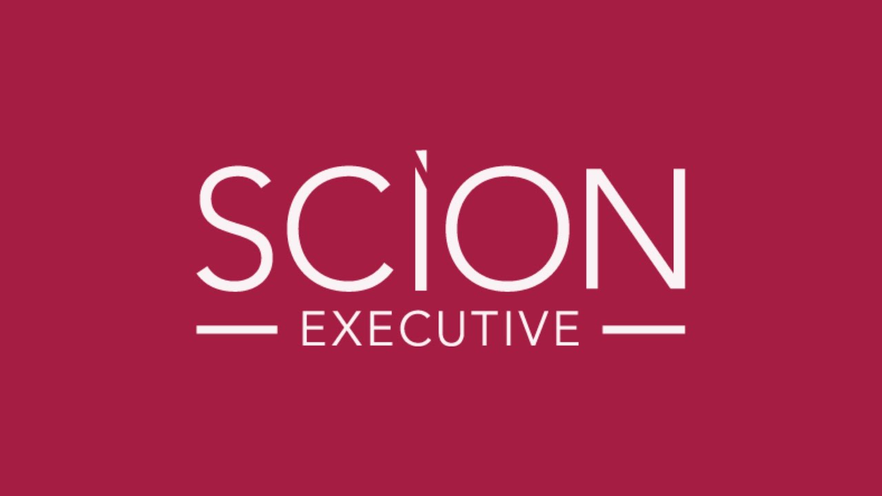 Meet Scion Nonprofit Executive Search
