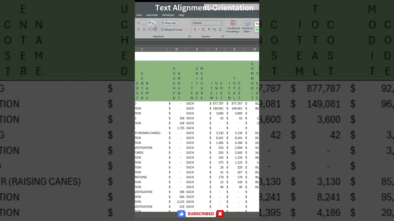 How to do Text Alignment in Excel ~ How to Align Text and Data in Excel