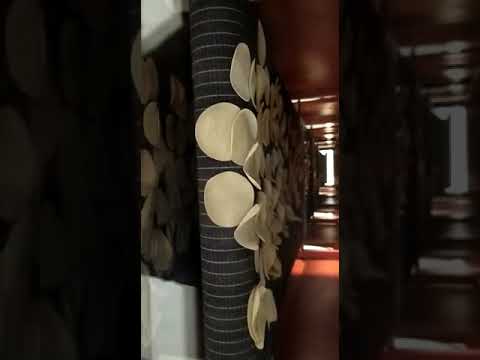 Papad Drying Machine at Best Price in India