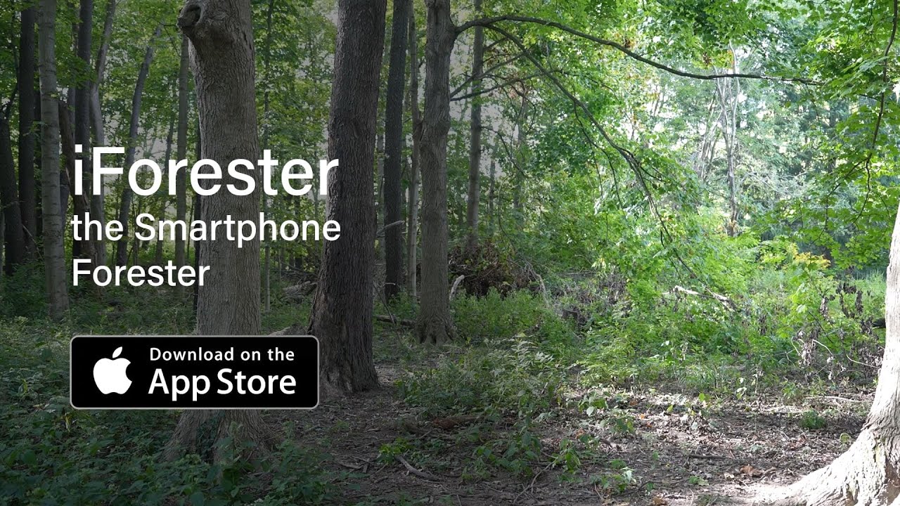 iForester: The Smartphone Forester