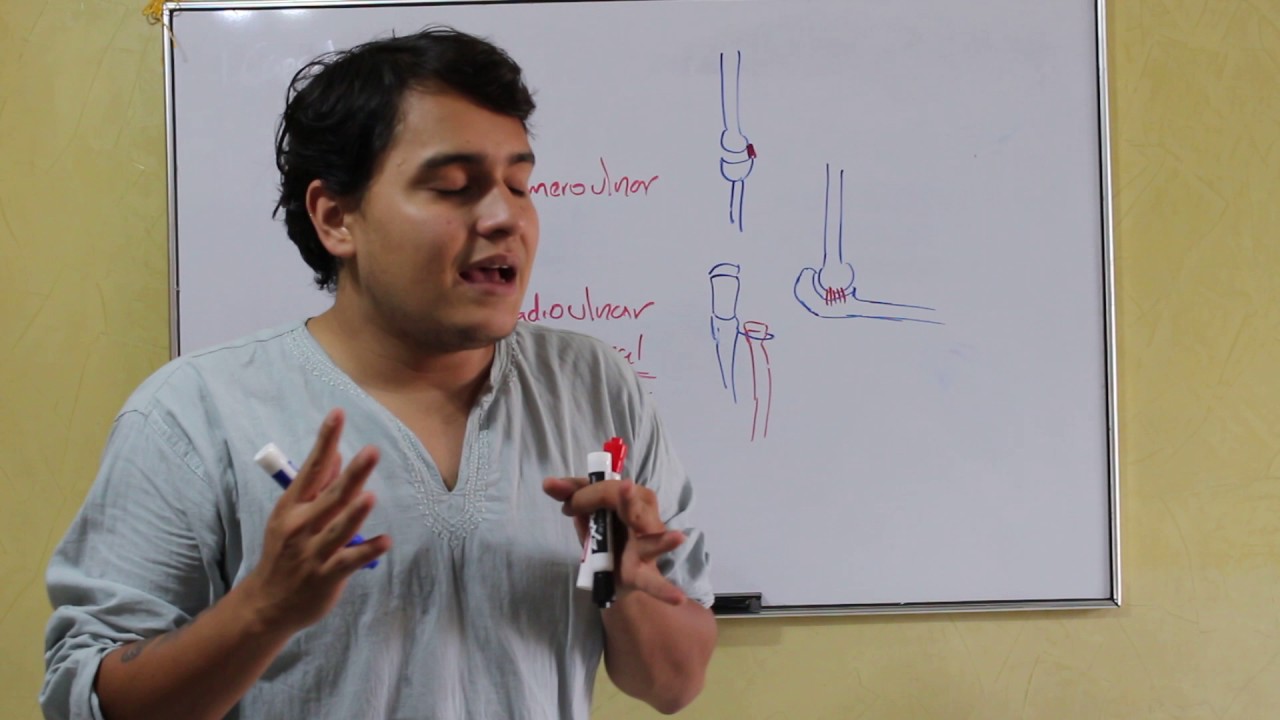 Articulación del codo