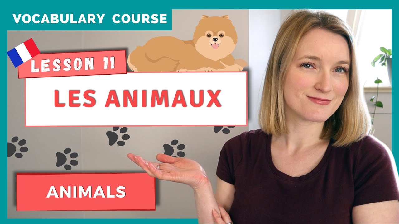 Complete French Vocabulary - French Online Language Courses | The ...