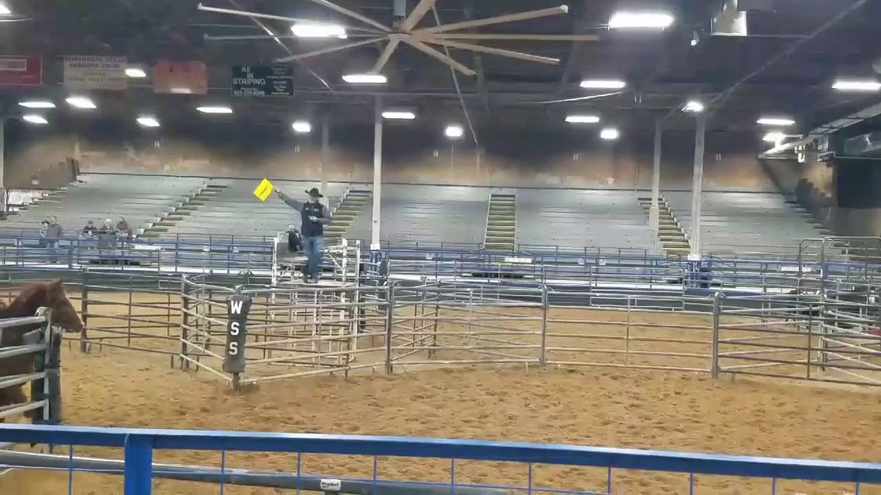 Nick Fury - RSOA Ranch Sorting