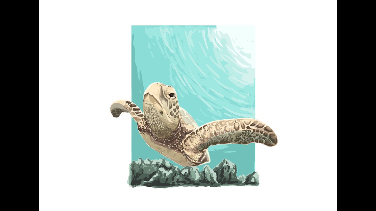 Time Lapse Adobe Illustrator : sea turtle vector painting illustration