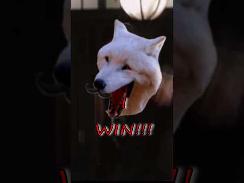 Steam Community :: Drop Pockets