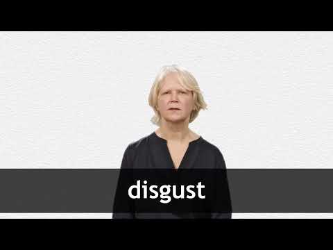 DISGUST - Definition & Translations | Collins English Dictionary