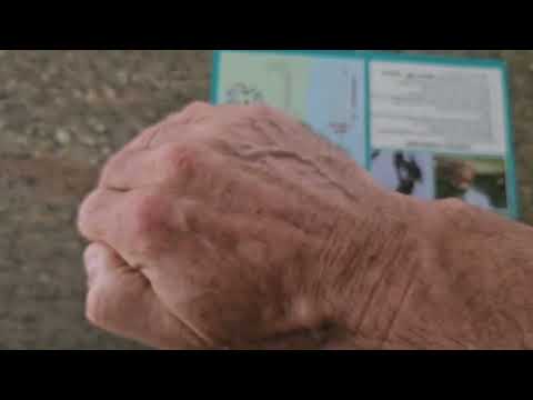 Marina Village RV Park camp map and pricing details with local amenity explanation