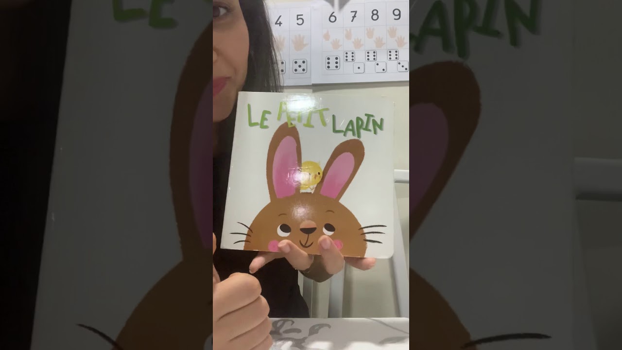 Lecture du livre : Le petit lapin